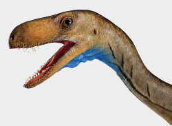 Miami University - Miamian Winter 2011 - Along Slant Walk